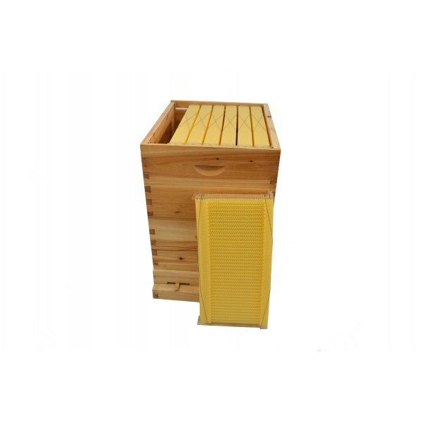 Bienenstock FLOW HIVE komplett + Varroaboden Bienenhaus Bienenkasten 7 ...