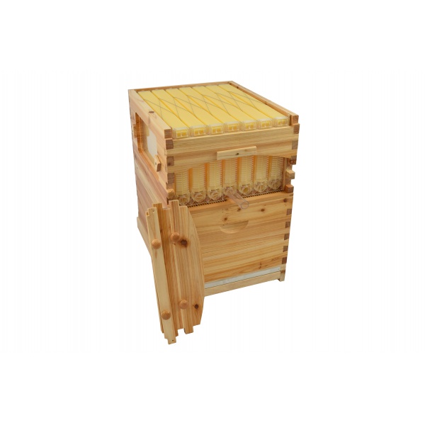 Bienenstock FLOW HIVE komplett + Varroaboden Bienenhaus Bienenkasten 7 ...