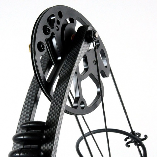 Adjustable Pulley Bow Dreamer Black 20-70 lbs with accessories 30"